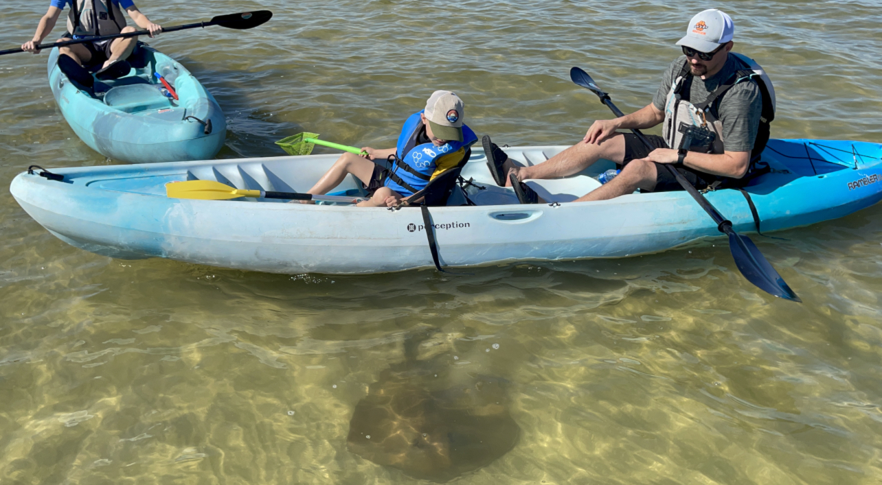 Cocoa Kayaking: FREE Photos On All Daytime And Sunset Tours! | Cocoa ...