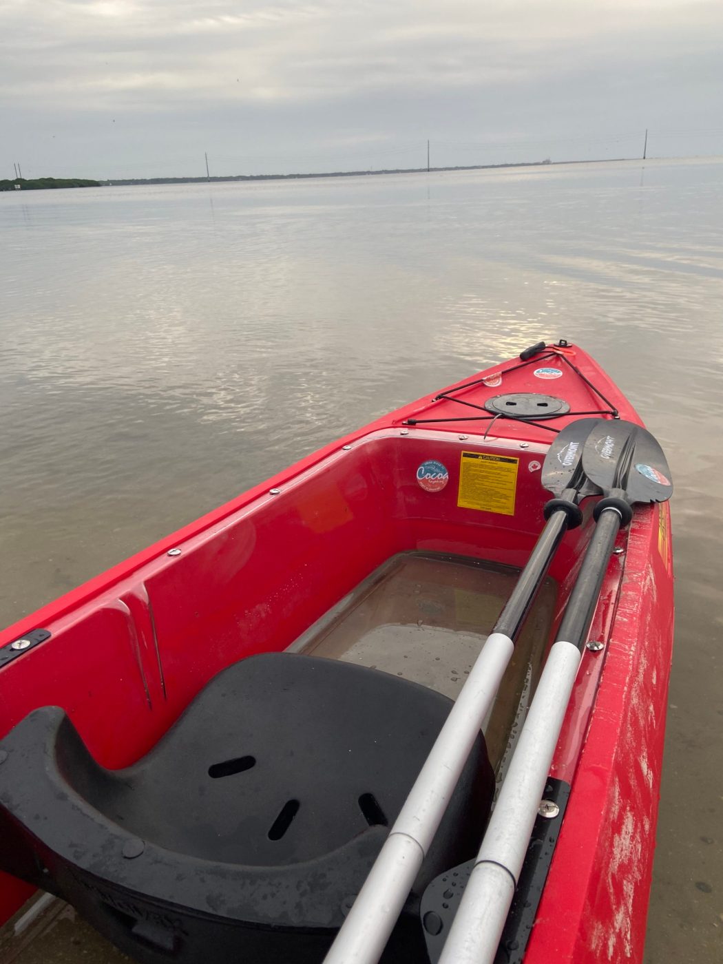 Clear Bottom Kayak Tours!! So Cool!! | Cocoa Kayaking