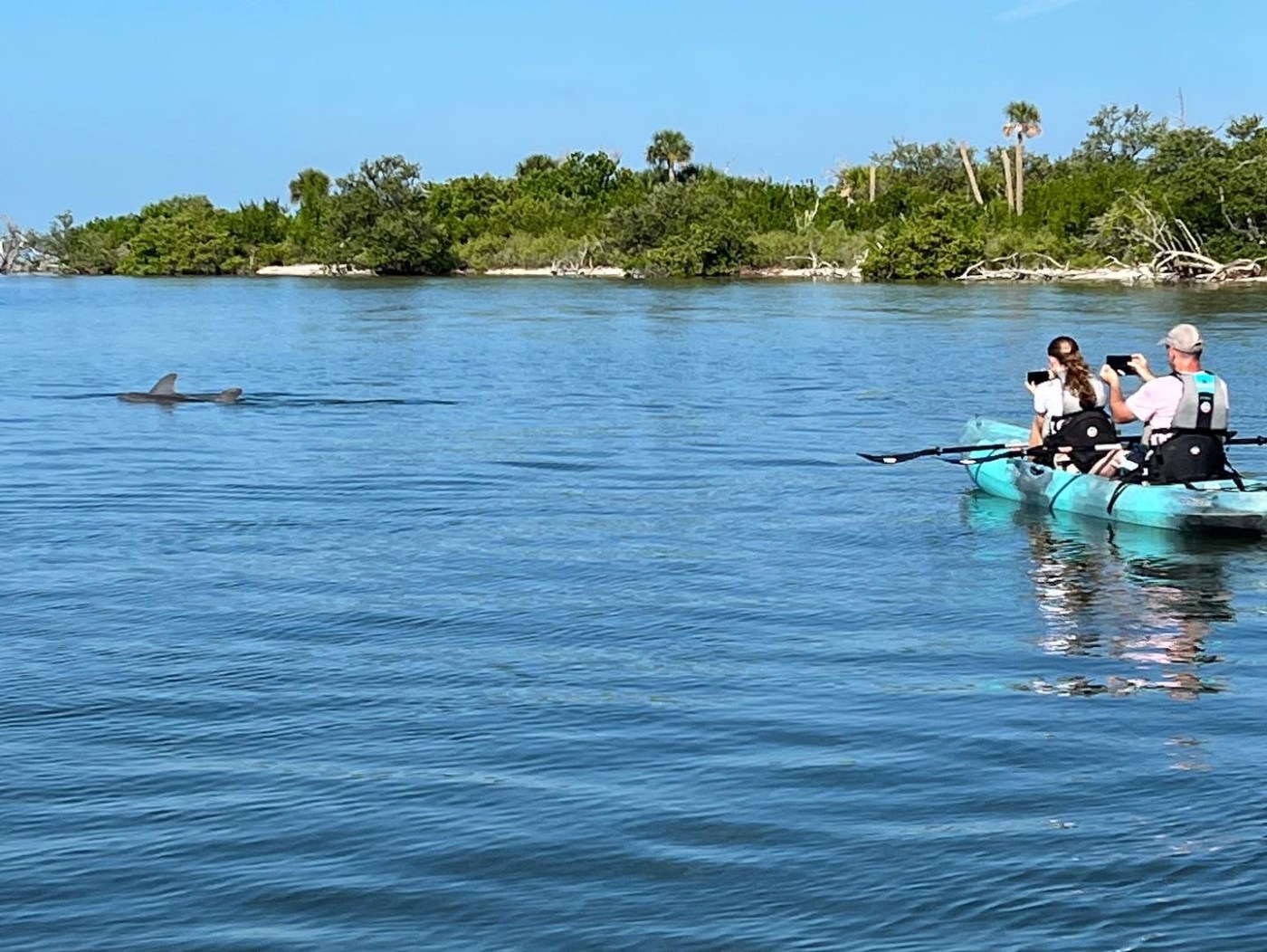 Paddle Amongst The Bottlenose Dolphins At The Wildlife Refuge! | Cocoa ...