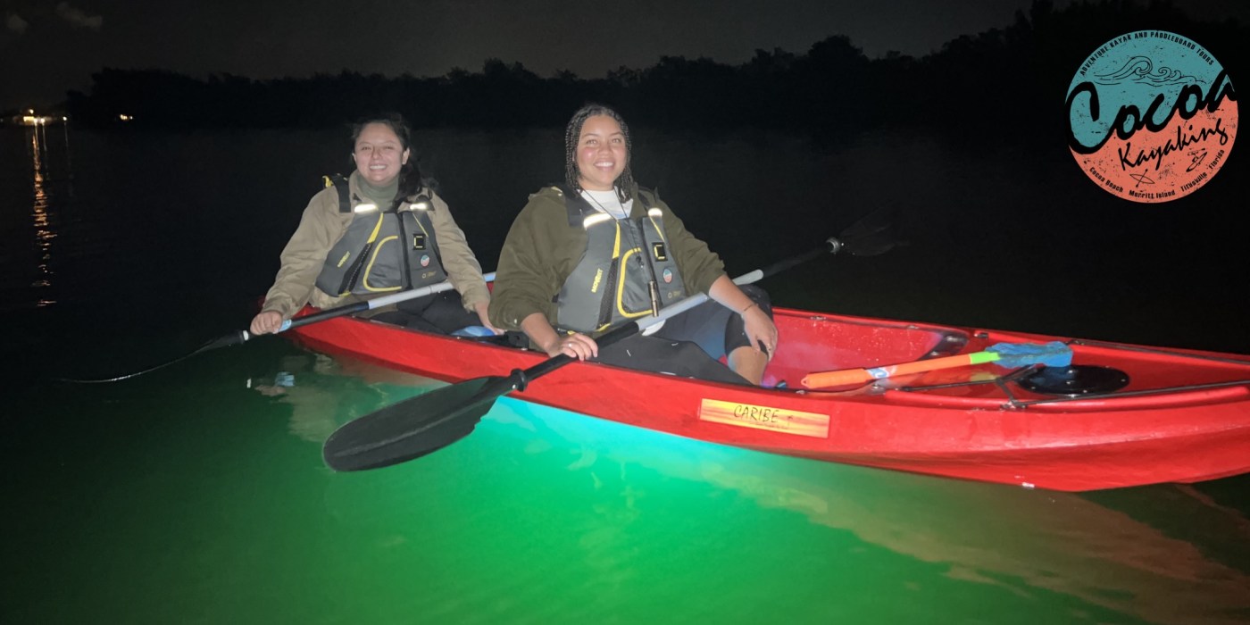 LED Tours Are Here For The Season! Comb Jelly Update: EPIC OVERLOAD At ...