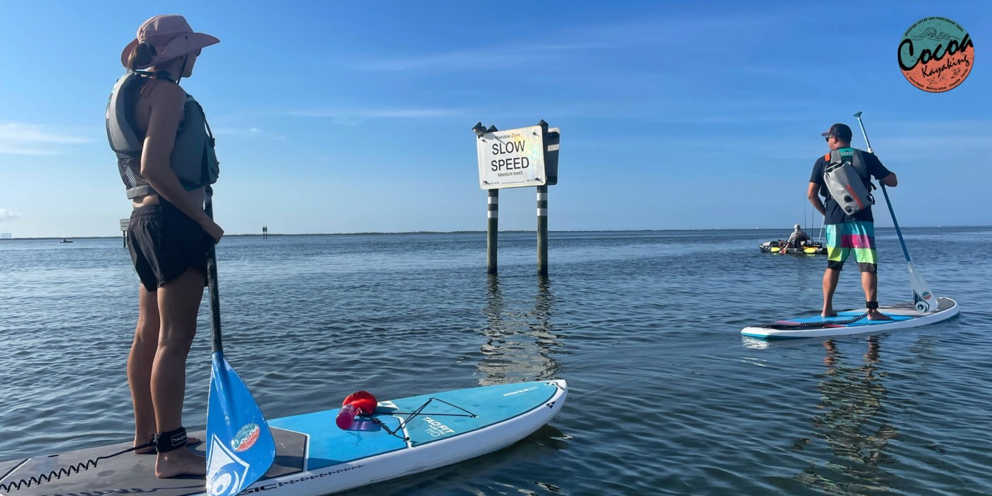 Learn How To Paddleboard! | Cocoa Kayaking