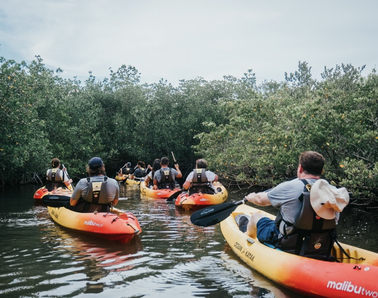 Adventurous Day | Cocoa Kayaking