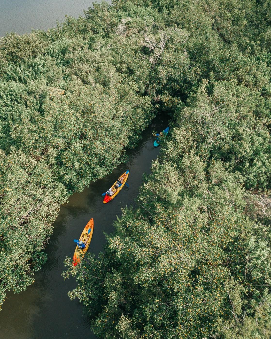 Ocean_Cure Clean Up Tours NOW Available At Our Cocoa Beach Location ...